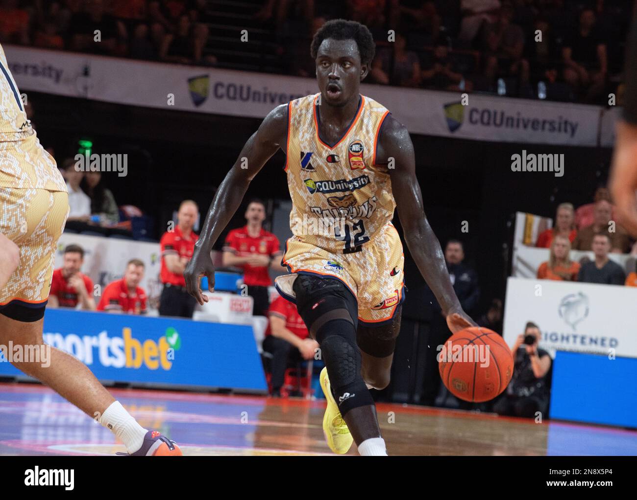 Taipans Bui Kuoiduring the NBL (National Basketball League) Play-In ...