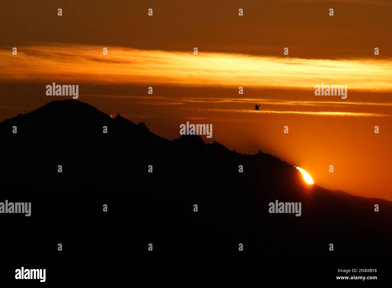 Closeup of sun rising over Mt. Baker in Washington with clouds and bird ...