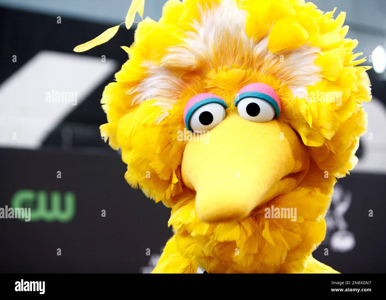 FILE - In this Aug. 30, 2009 file photo, Big Bird arrives for the ...