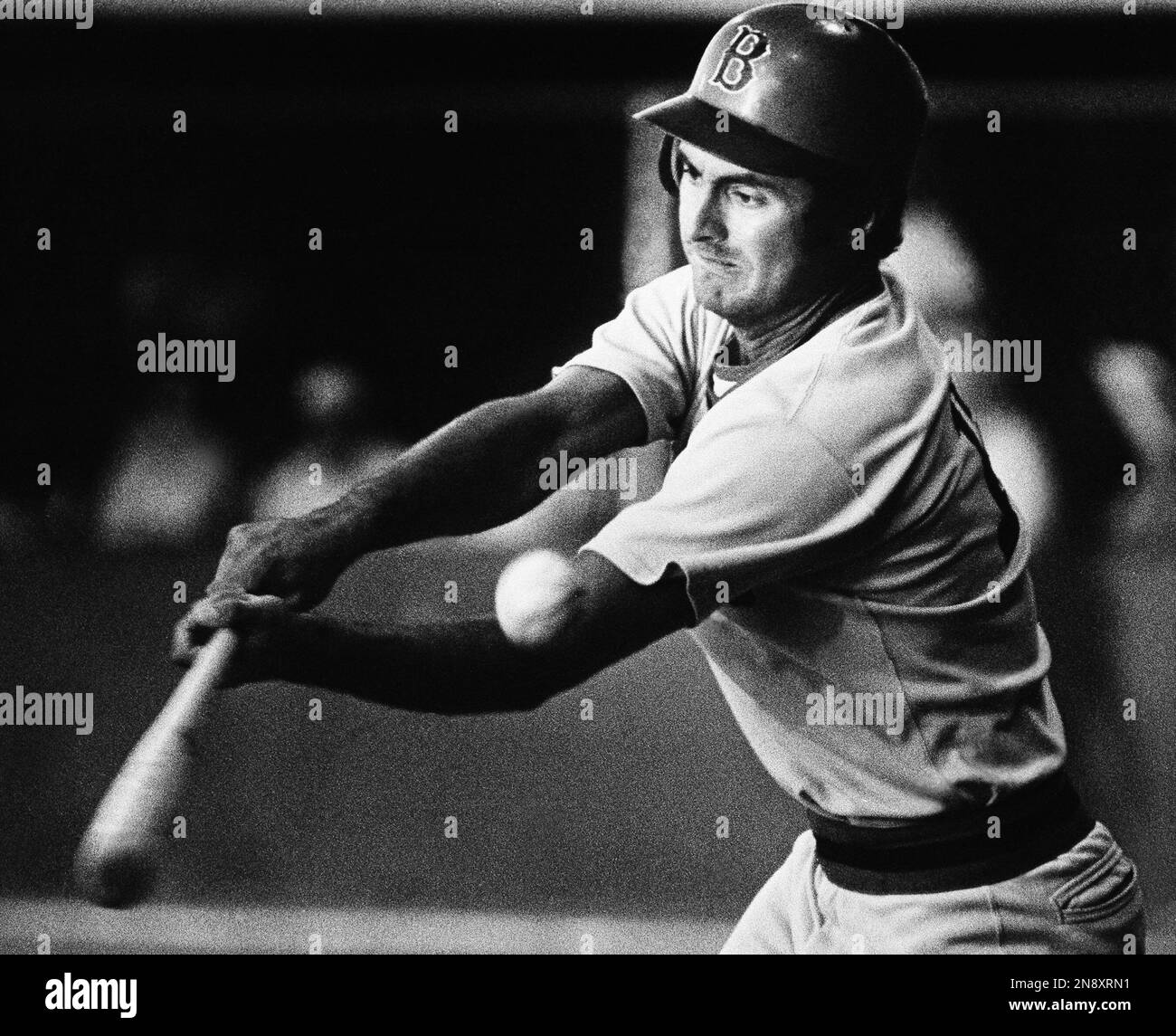 Boston Red Sox center fielder Fred Lynn takes a mighty swing at the ...