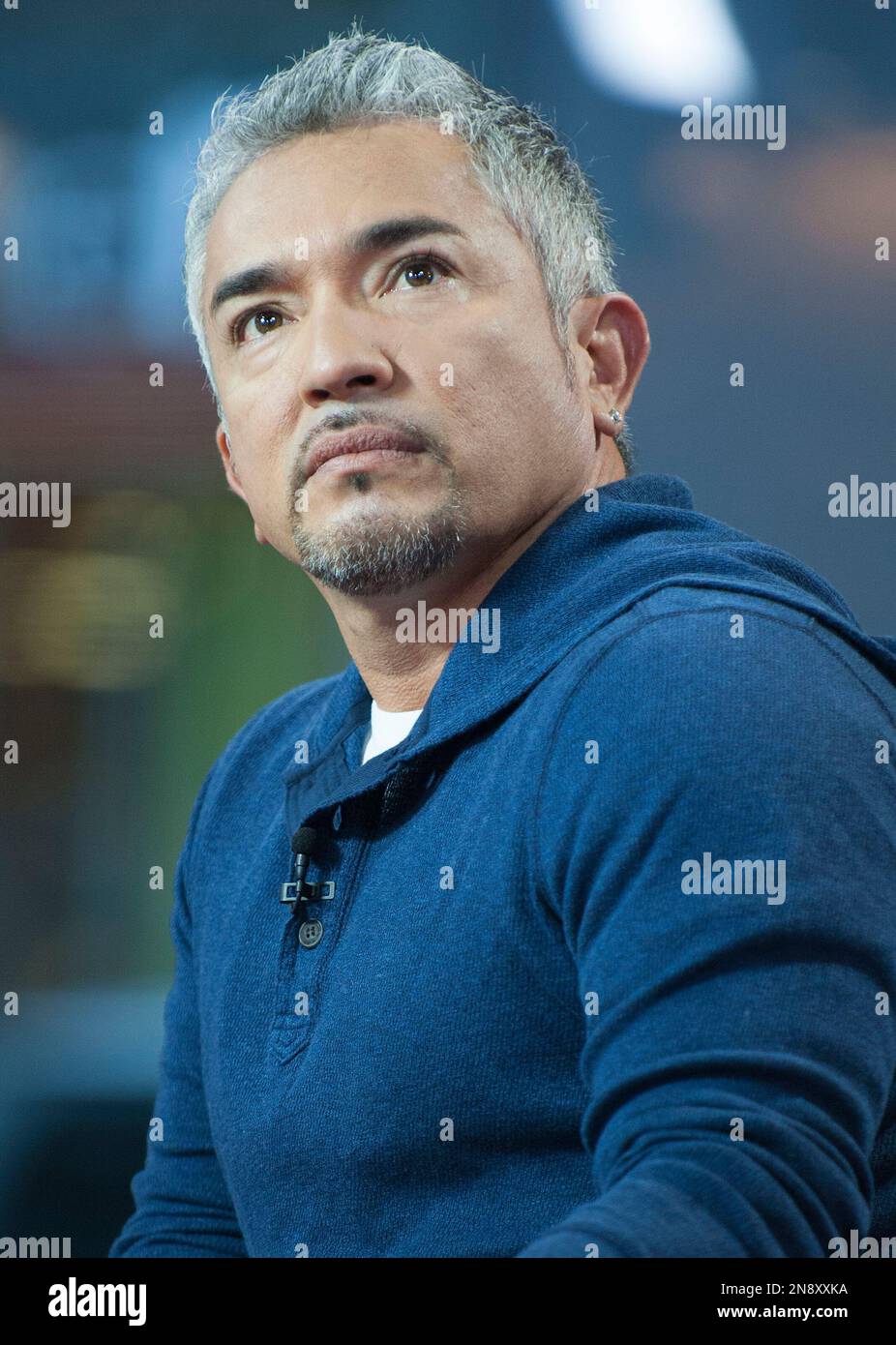 Cesar Millan is interviewed at Global Toronto's "The Morning Show" on ...