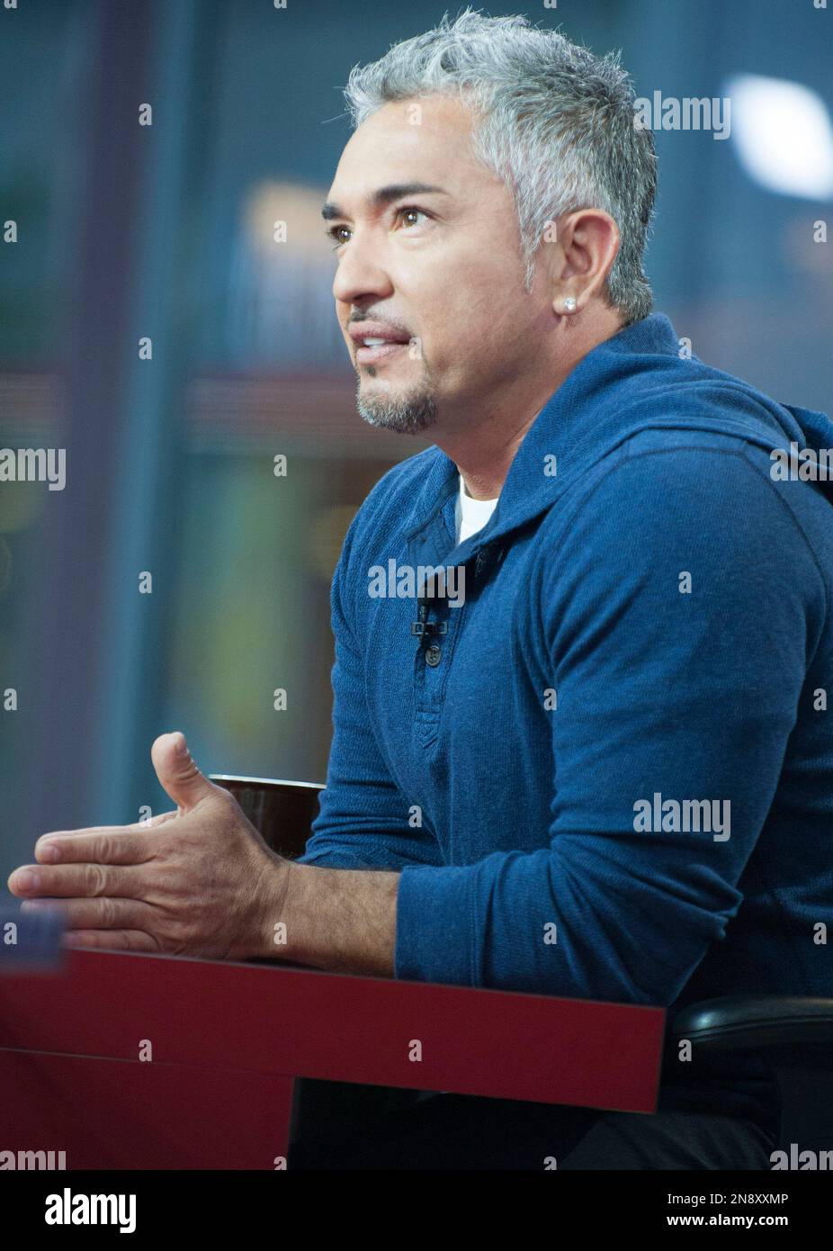 Cesar Millan is interviewed at Global Toronto's "The Morning Show" on ...