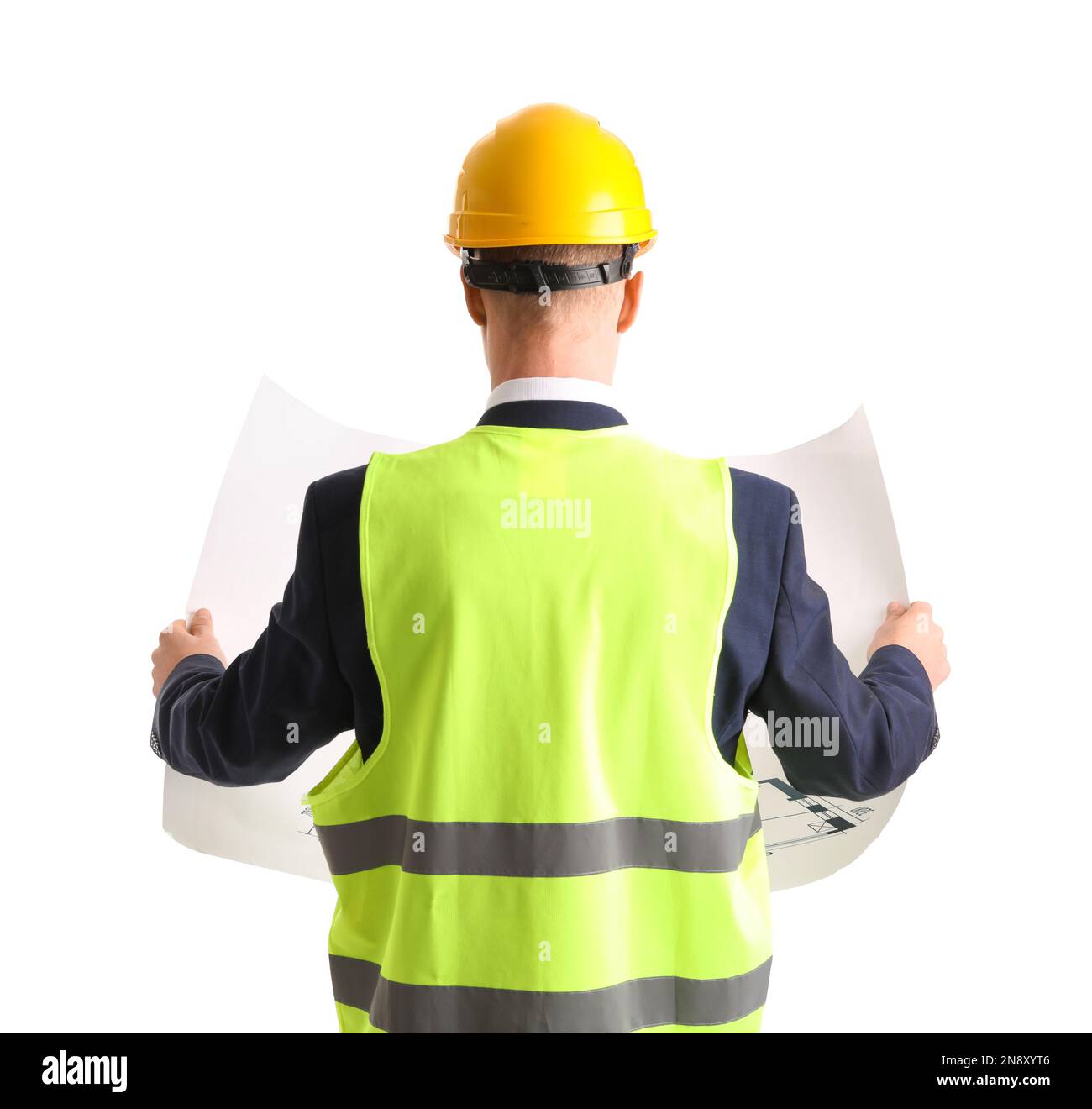 Male architect with drawing on white background, back view Stock Photo ...