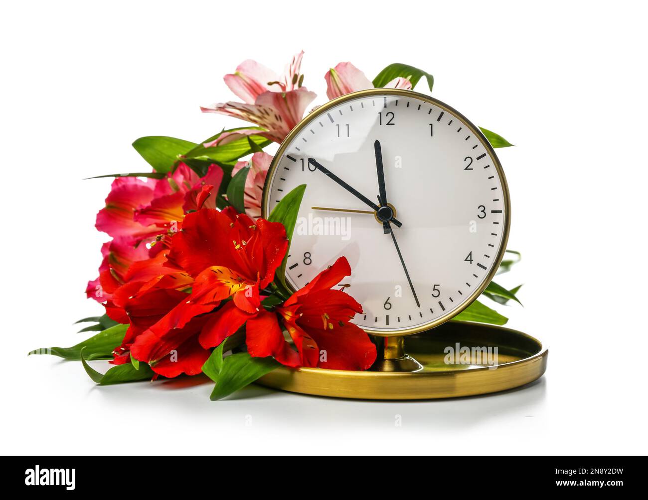 Alarm clock with beautiful alstroemeria flowers on white background ...