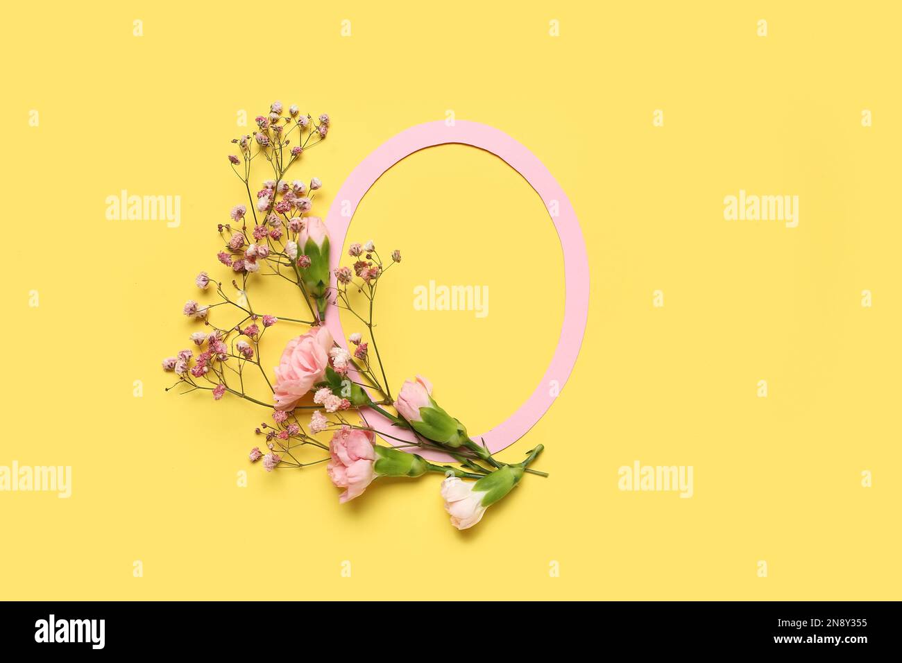 Blank round frame with beautiful carnation and gypsophila flowers on ...