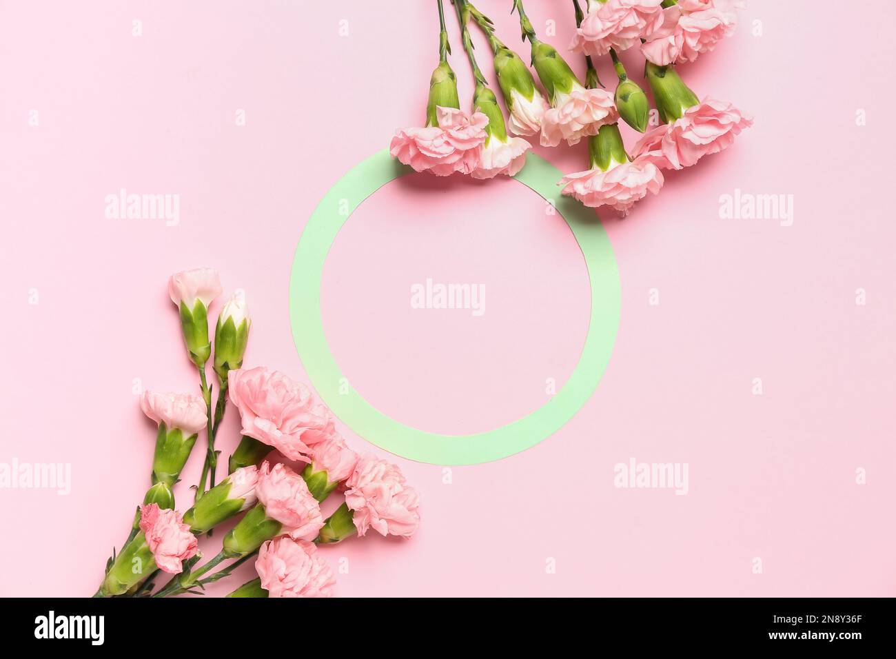 Blank round frame and beautiful carnation flowers on pink background ...