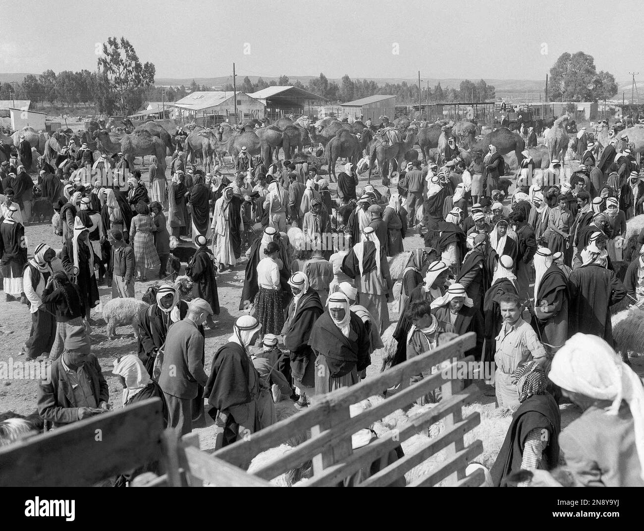 Bedouin Arabs gather in the open-air market place in Beersheba, Israel ...