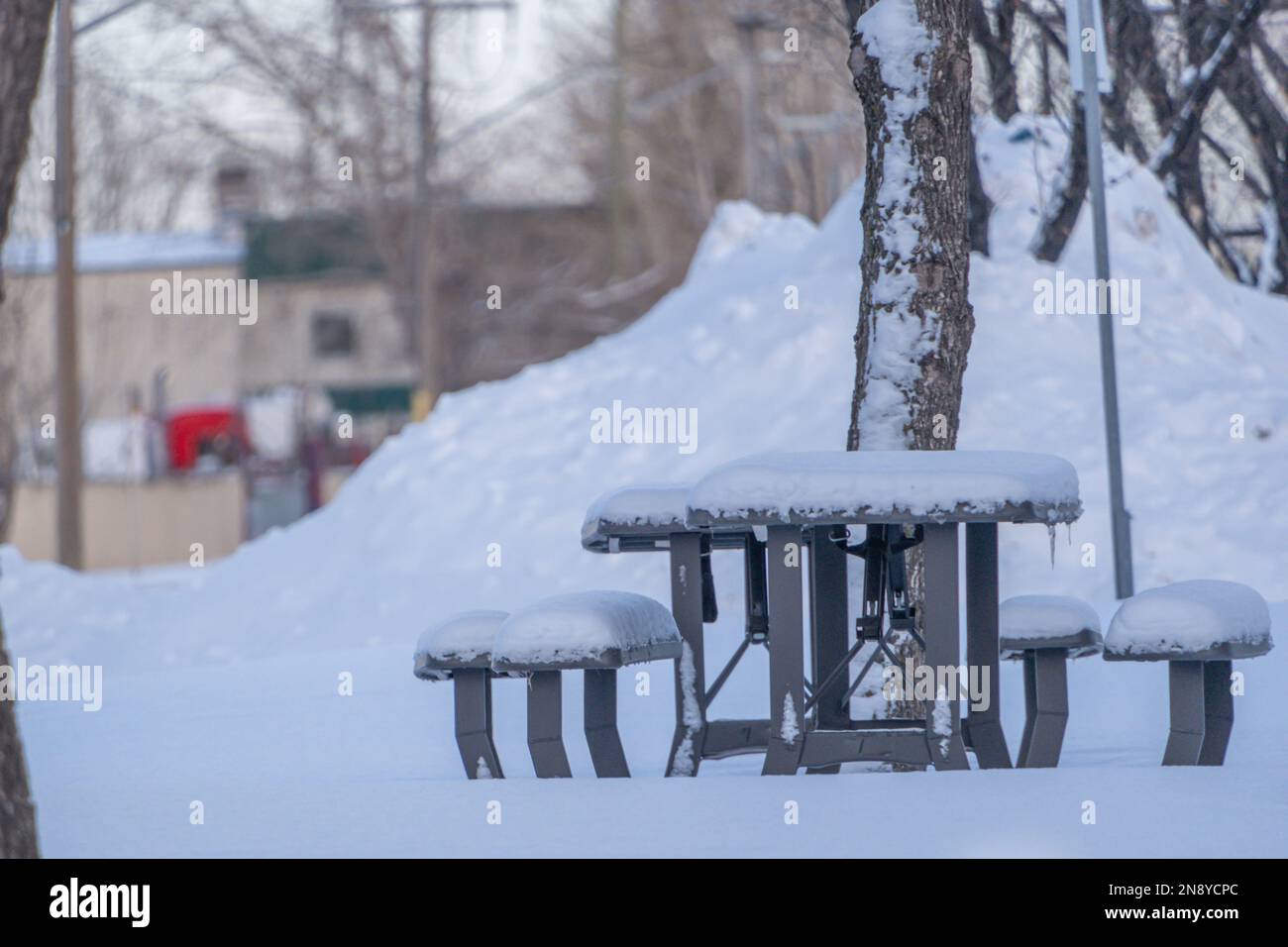 park benches with park tables covered in snow in winter Stock Photo - Alamy