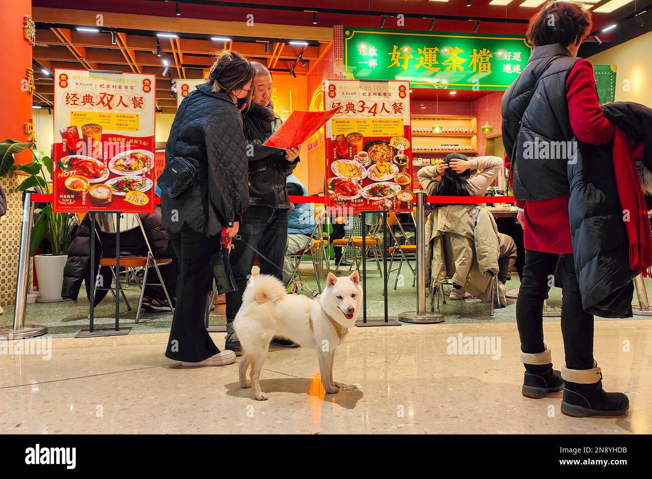 SHANGHAI, CHINA - FEBRUARY 11, 2023 - Two customers check the menu with ...