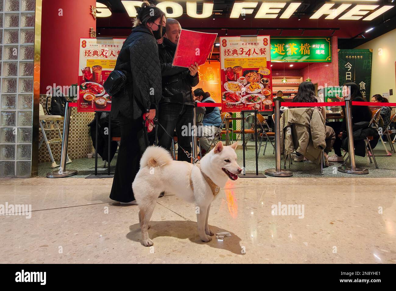 SHANGHAI, CHINA - FEBRUARY 11, 2023 - Two customers check the menu with ...
