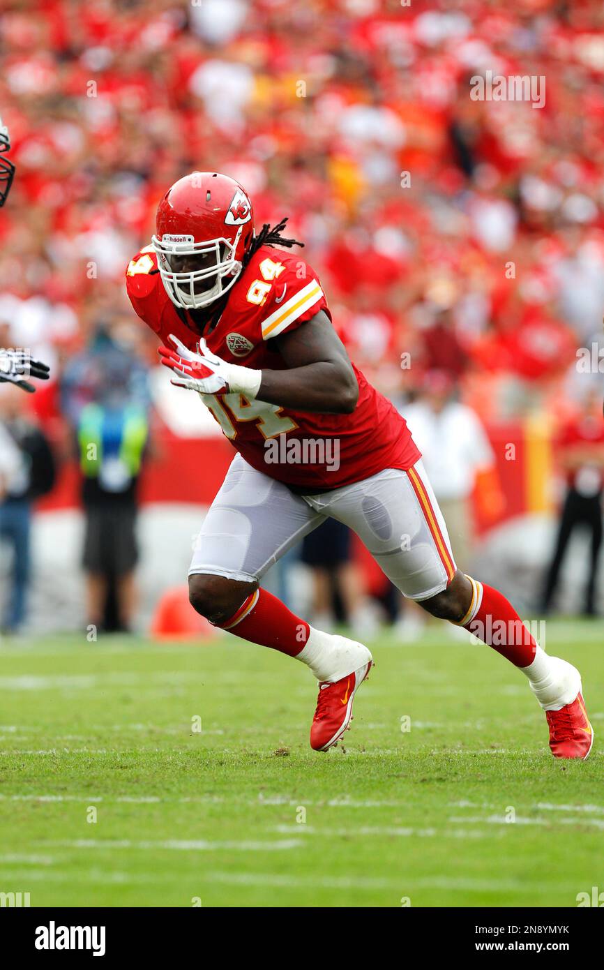 Kansas City Chiefs defensive end Tyson Jackson (94) during an NFL ...