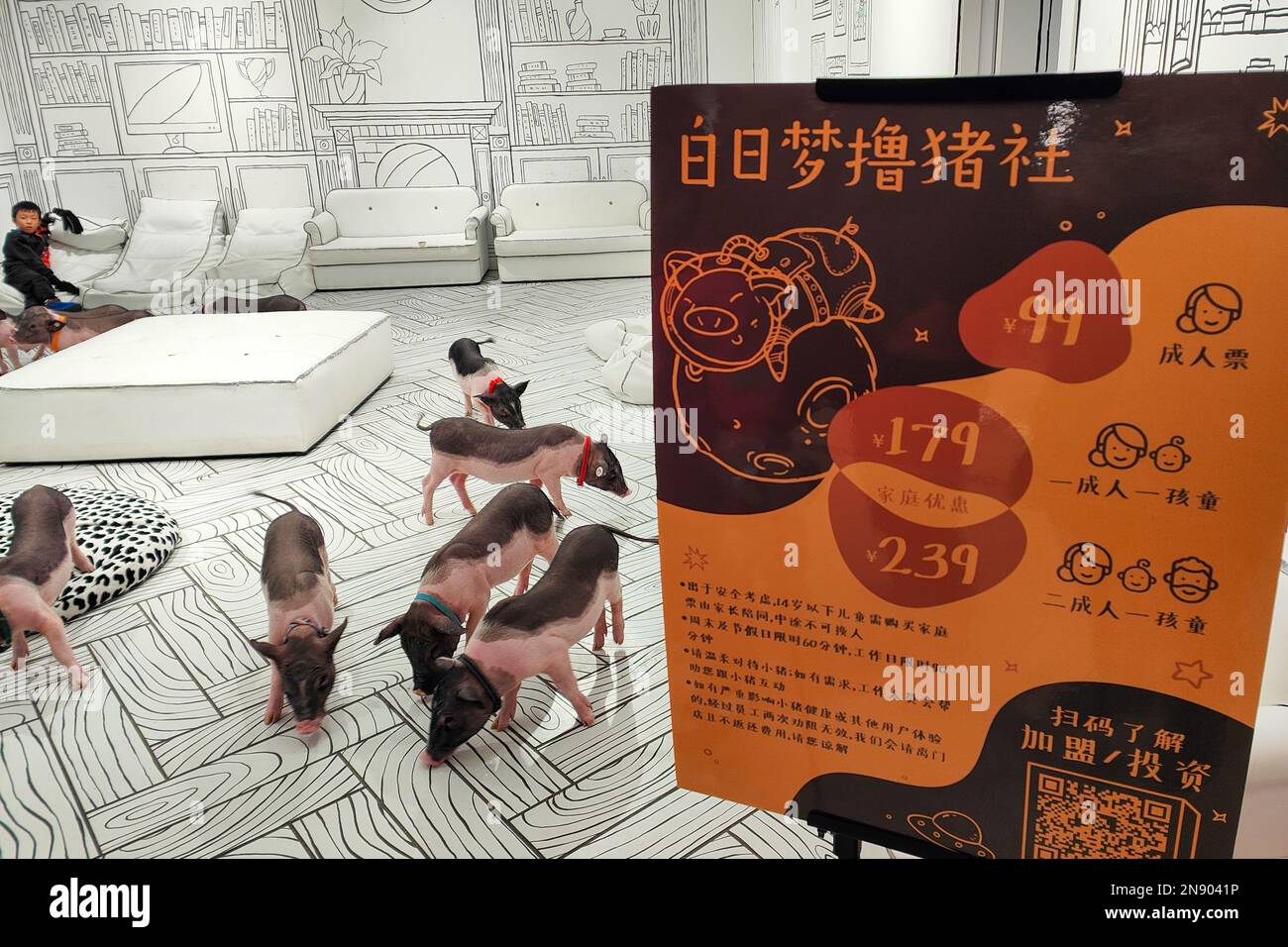 SHANGHAI, CHINA - FEBRUARY 11, 2023 - Children play with a dozen baby ...