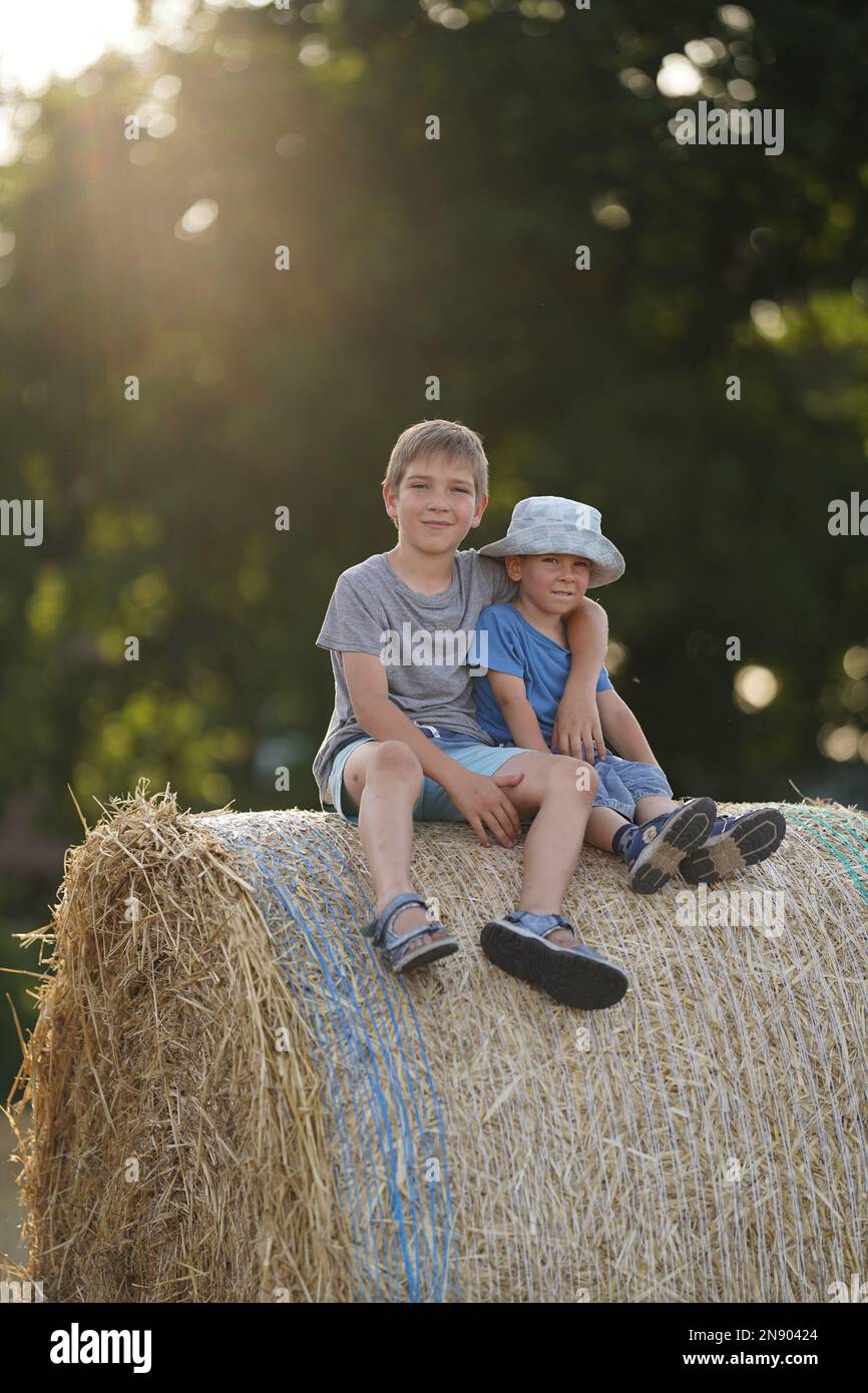 Two little brother boys sits on a round haystack relaxed. Field with ...