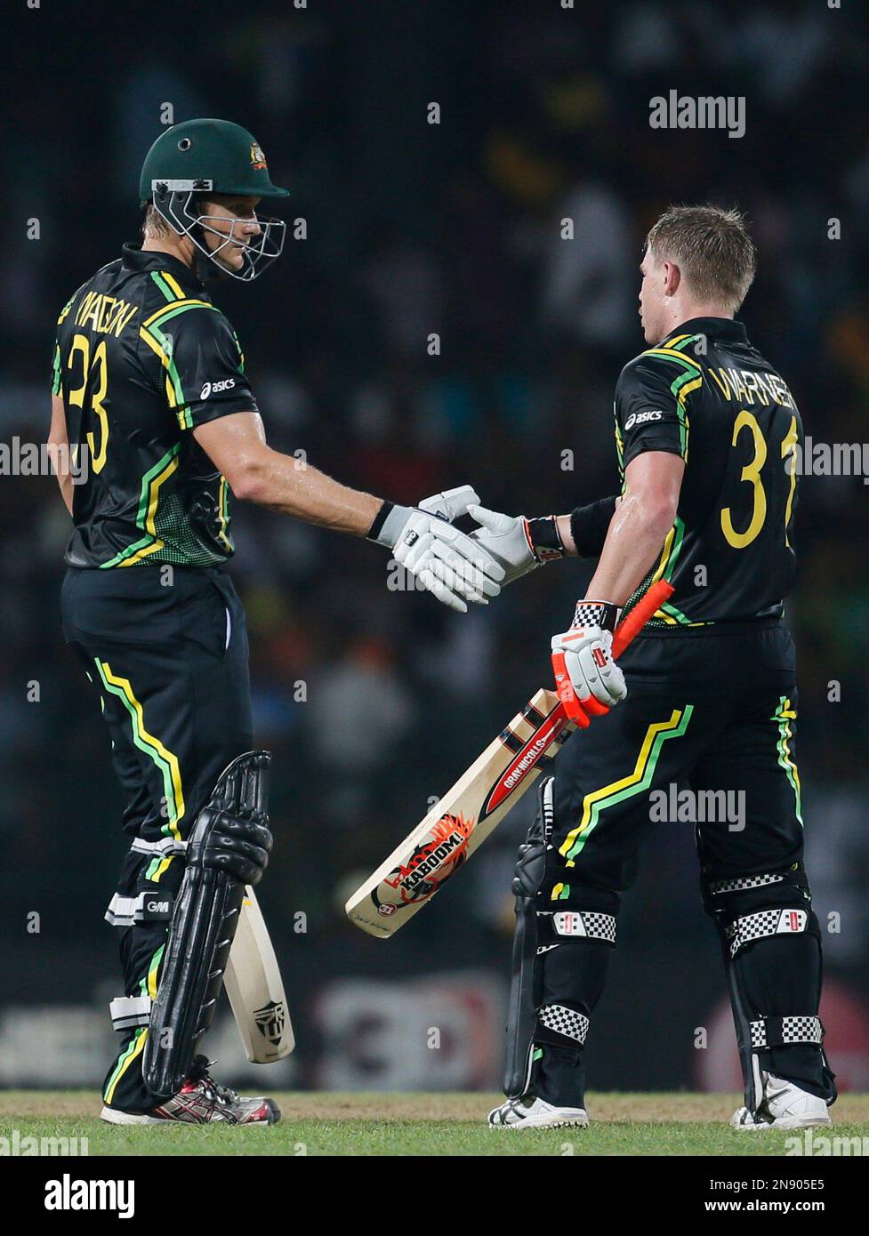 Shane Watson And David Warner