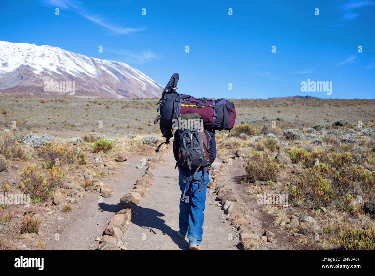 A porter carrying heavy load on his head on the way to Kilimanjaro ...
