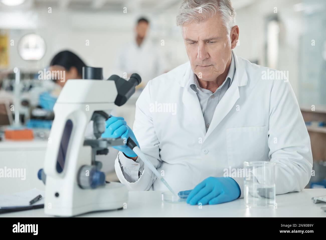 Undertaking controlled experiments and trials. a senior scientist ...