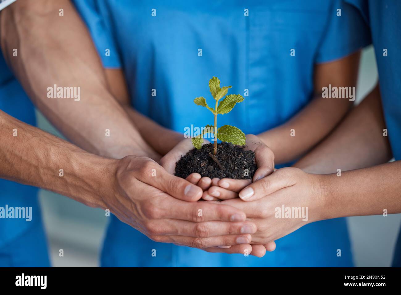 Growth can only happen in a supportive environment. a medical team ...