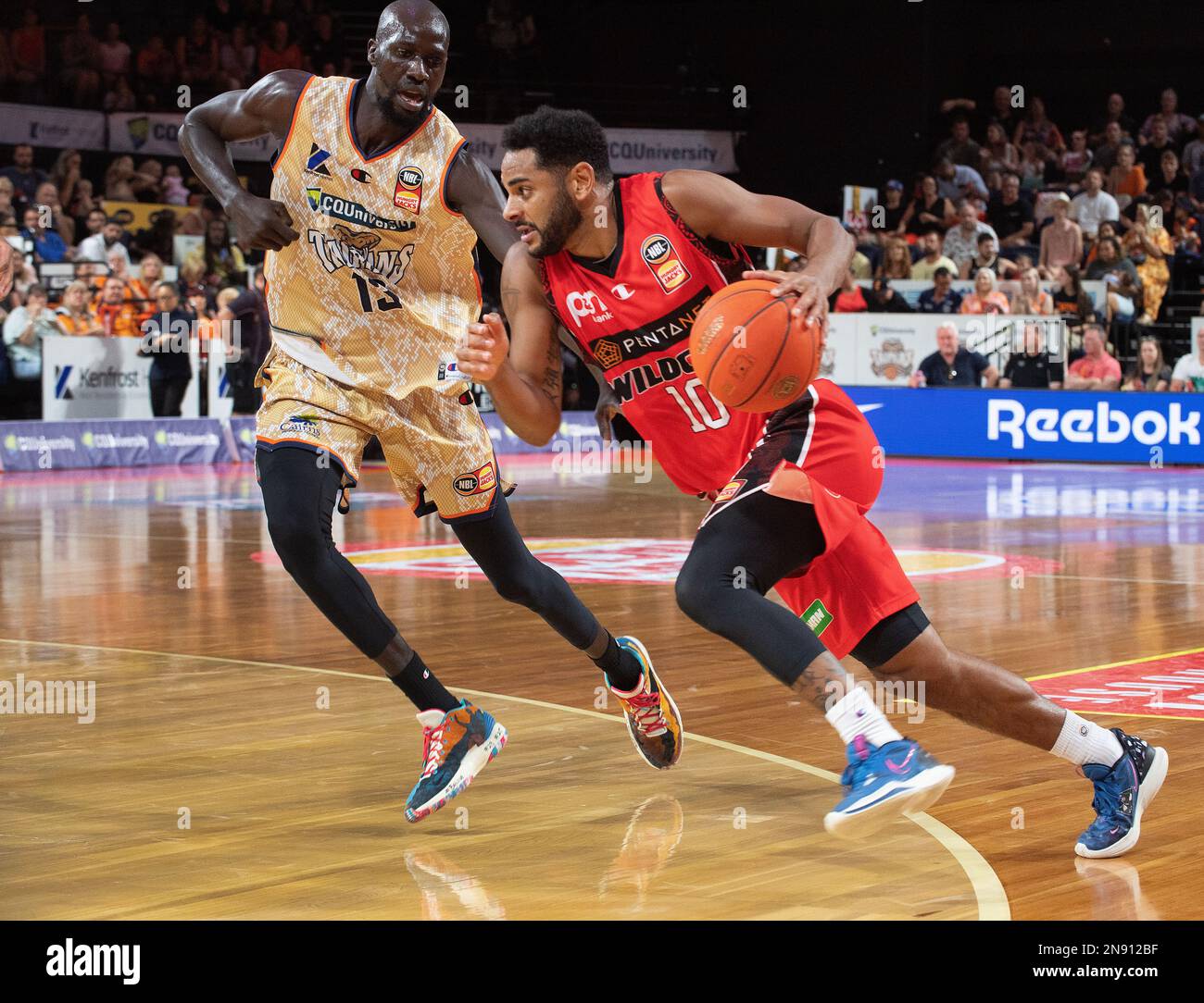 Wildcats Corey Webster during the NBL (National Basketball League) Play ...