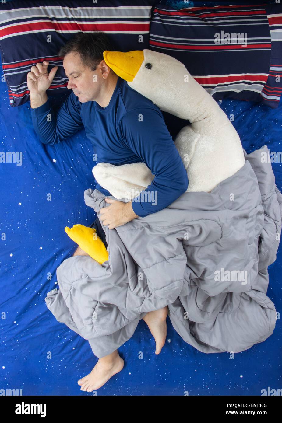 A man sleeps on a bed with a large plush toy - stuffed goose Stock ...