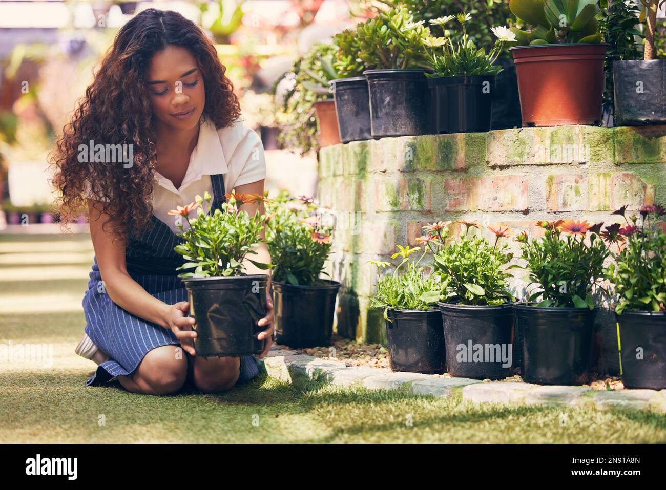Planting the seeds to my success. a florist working with her plants in ...
