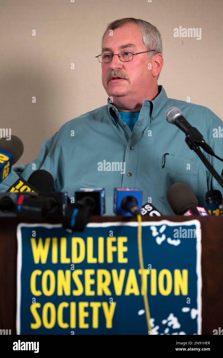 Bronx Zoo Director Jim Breheny speaks to the media during a news ...
