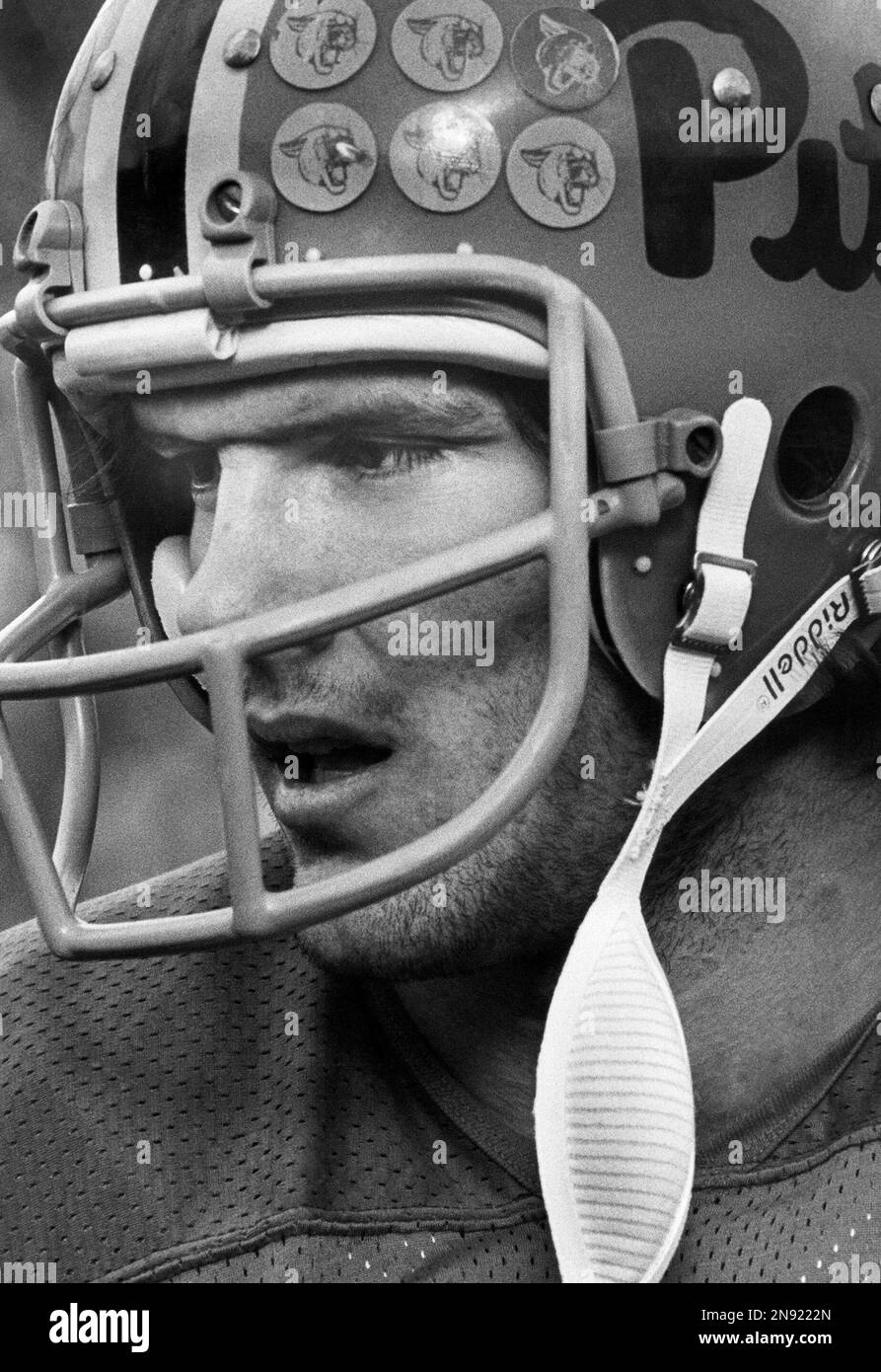 Quarterback Matt Cavanaugh, shown here during a 1976 game, is one of ...