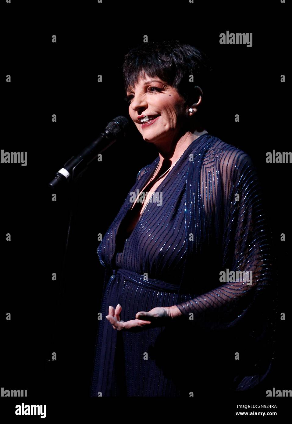 Liza Minnelli performs during A Tribute to Marvin Hamlisch, a memorial ...