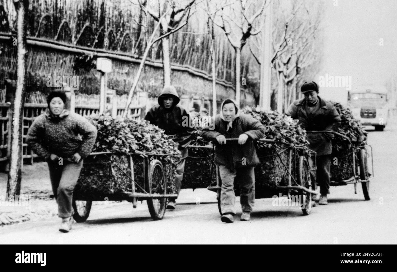 Chinese peasants haul heavy loads on a street in an unidentified city ...