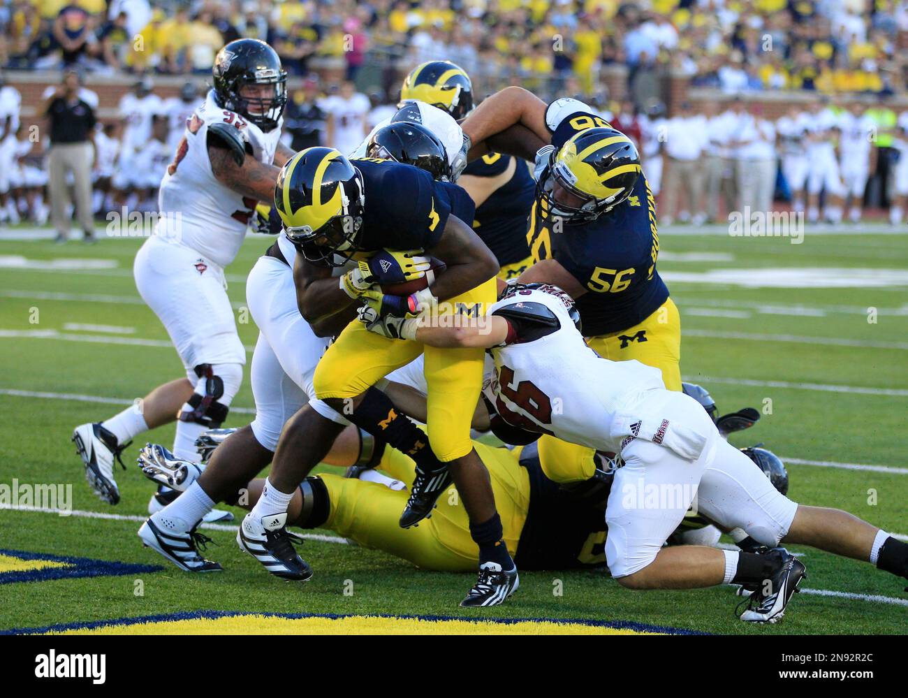 Michigan Wolverines running back Justice Hayes (5) scores a touchdown ...