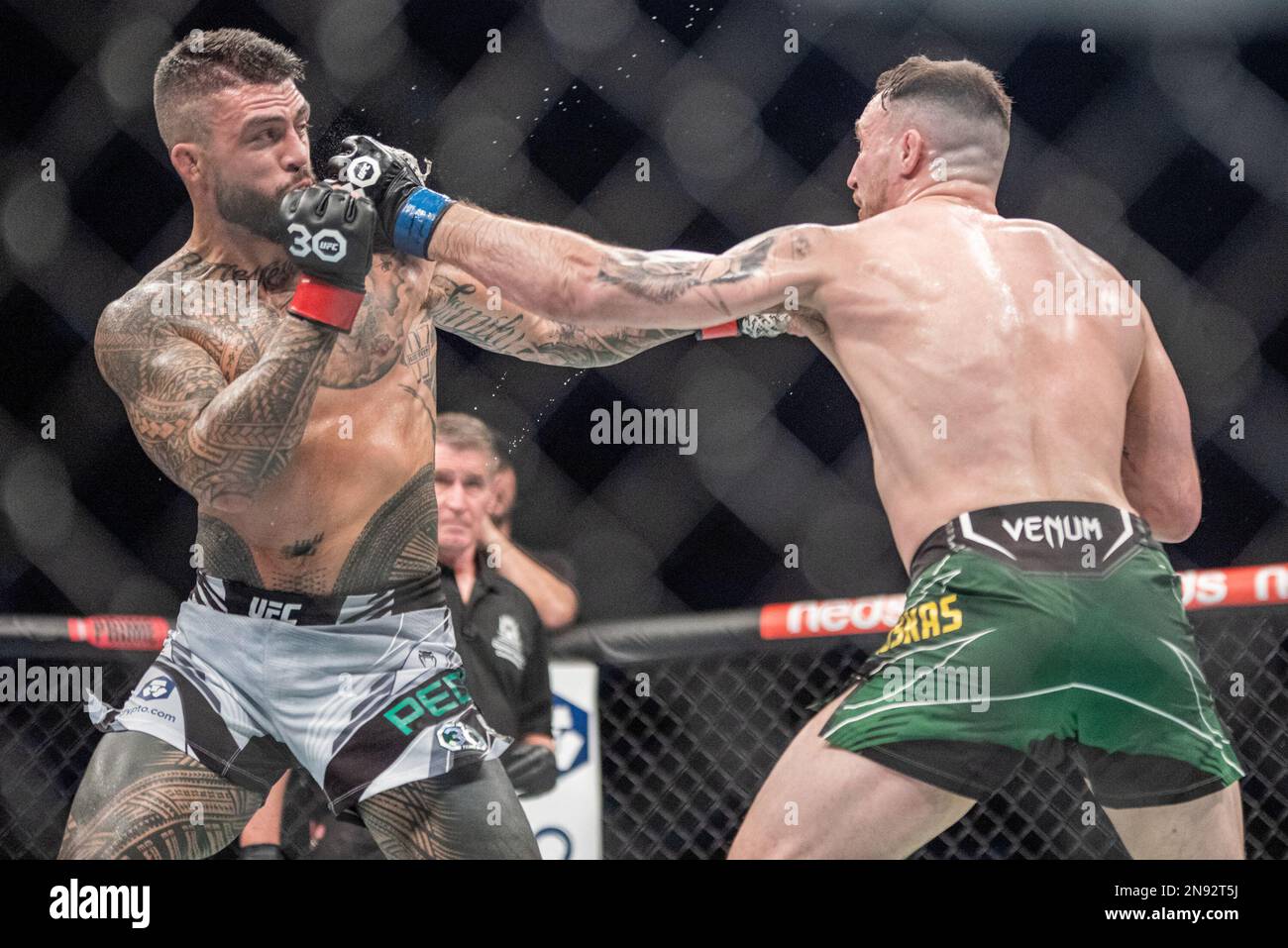 PERTH, AUSTRALIA - FEBRUARY 12: (R-L) Modestas Bukauskas punches Tyson ...