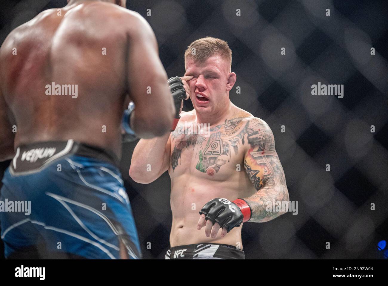 PERTH, AUSTRALIA - FEBRUARY 12: (R-L) Jimmy Crute reacts after an eye ...