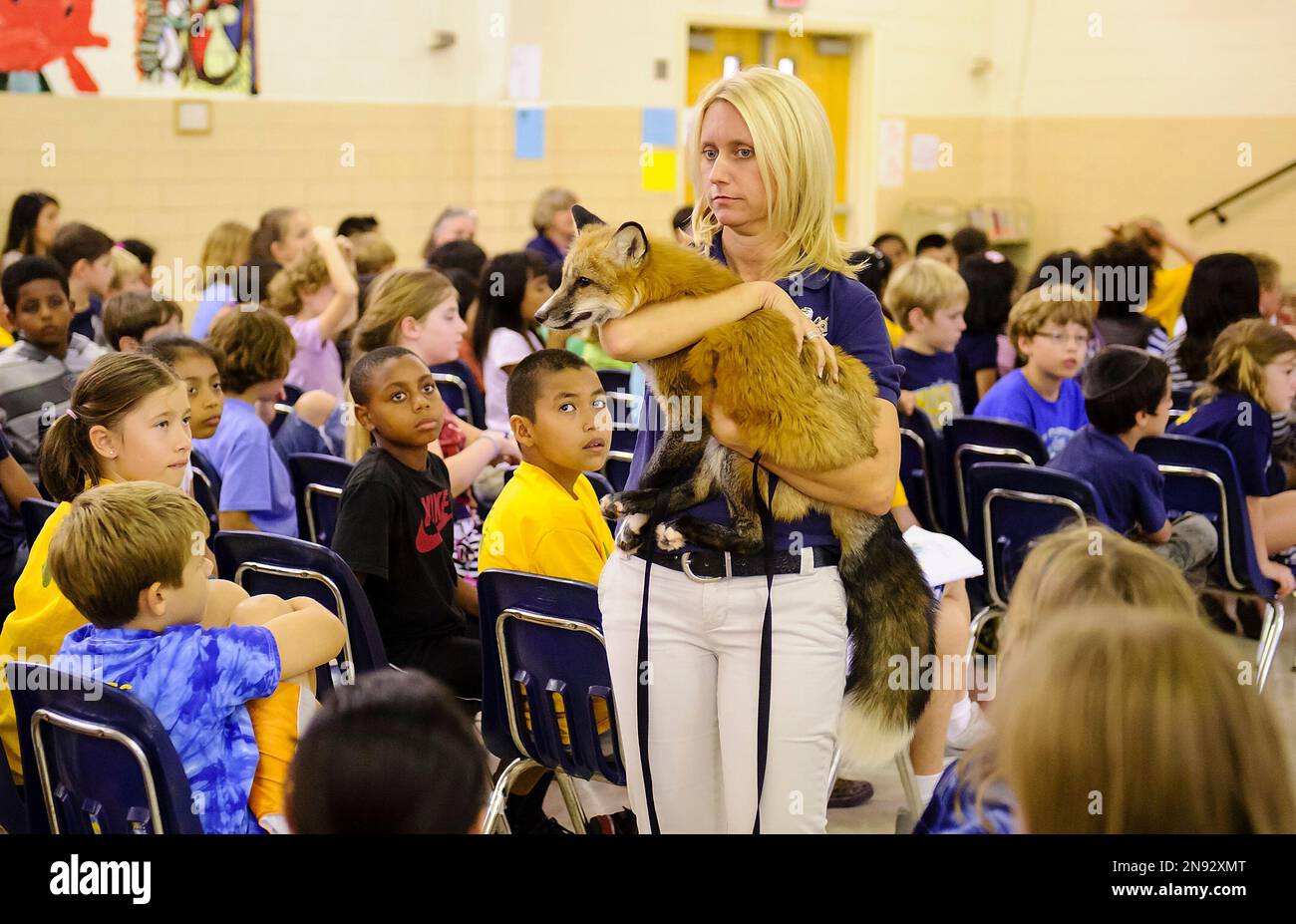 Animal handler Amy Kight introduces a red fox to the Dawn Junior ...