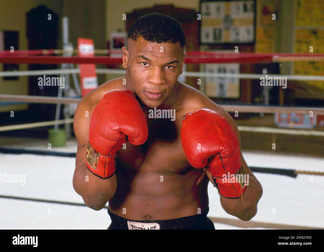 Tyson Mike heavy weight boxer posed action in 1986. (AP Photo Stock ...