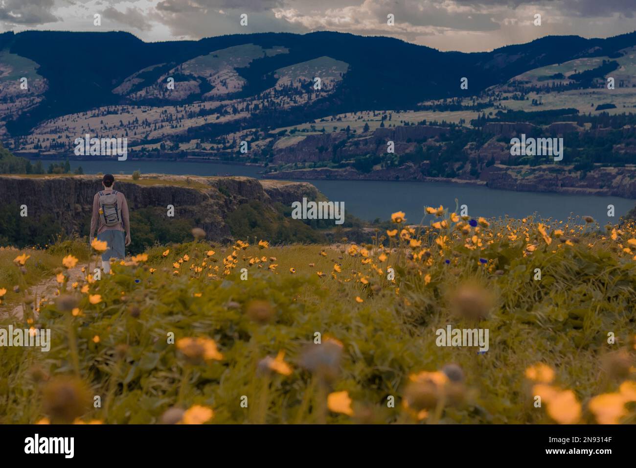 Tom McCall Preserve in Mosier, Oregon USA along the Columbia River ...
