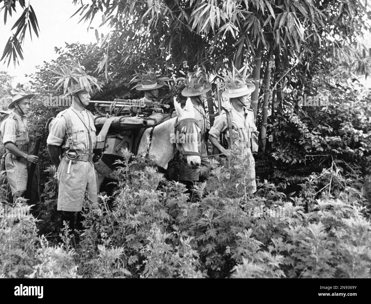 Units of the Burma Rifles and the Burma frontier Force maneuver near ...