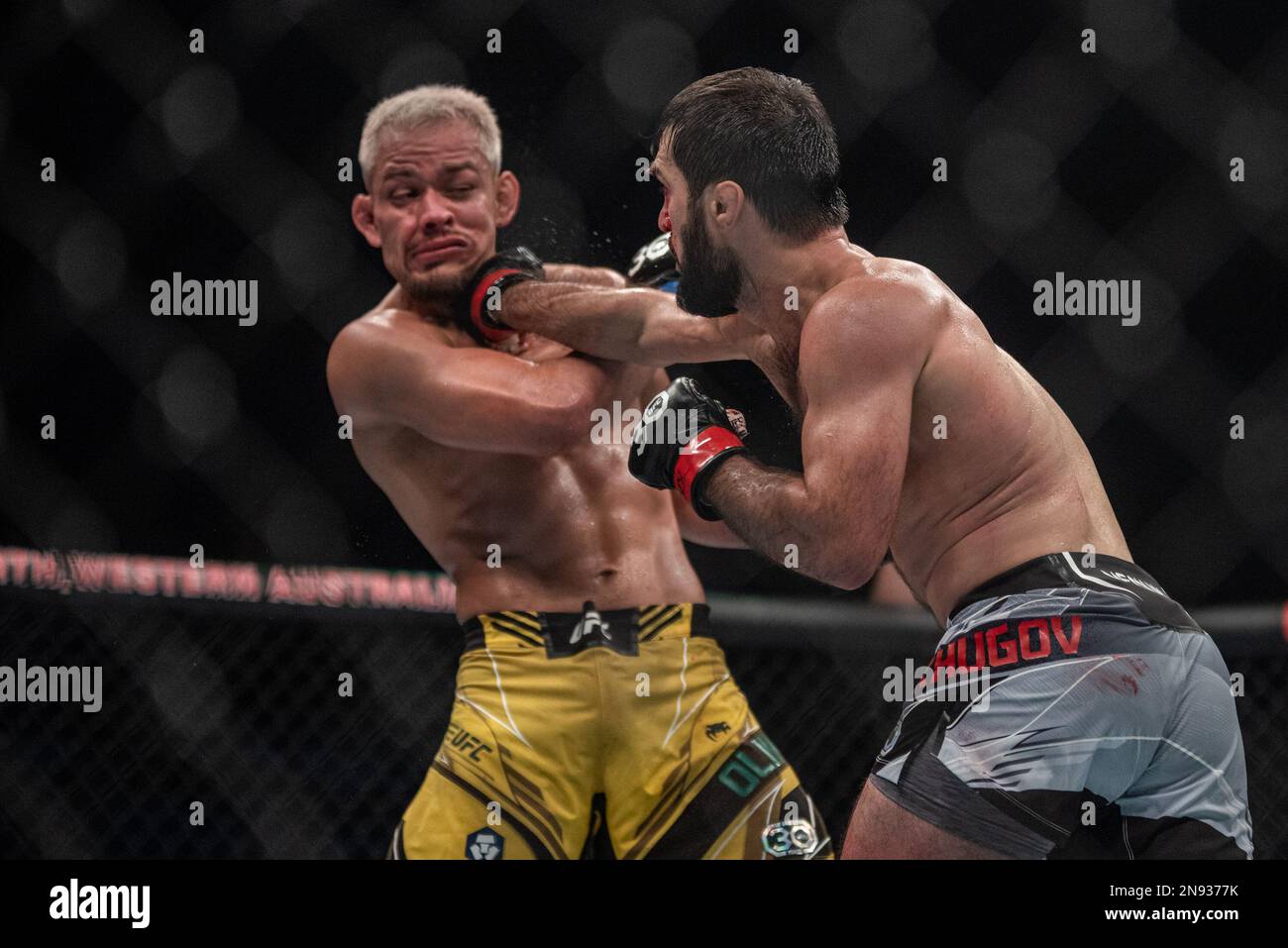 Zubaira tukhugov hi-res stock photography and images - Alamy