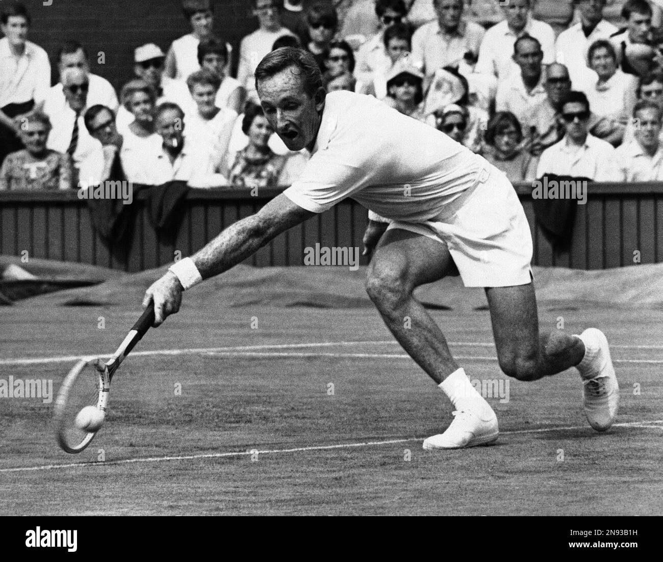 Professional sportsperson holding sport tennis racquet court playing hi ...