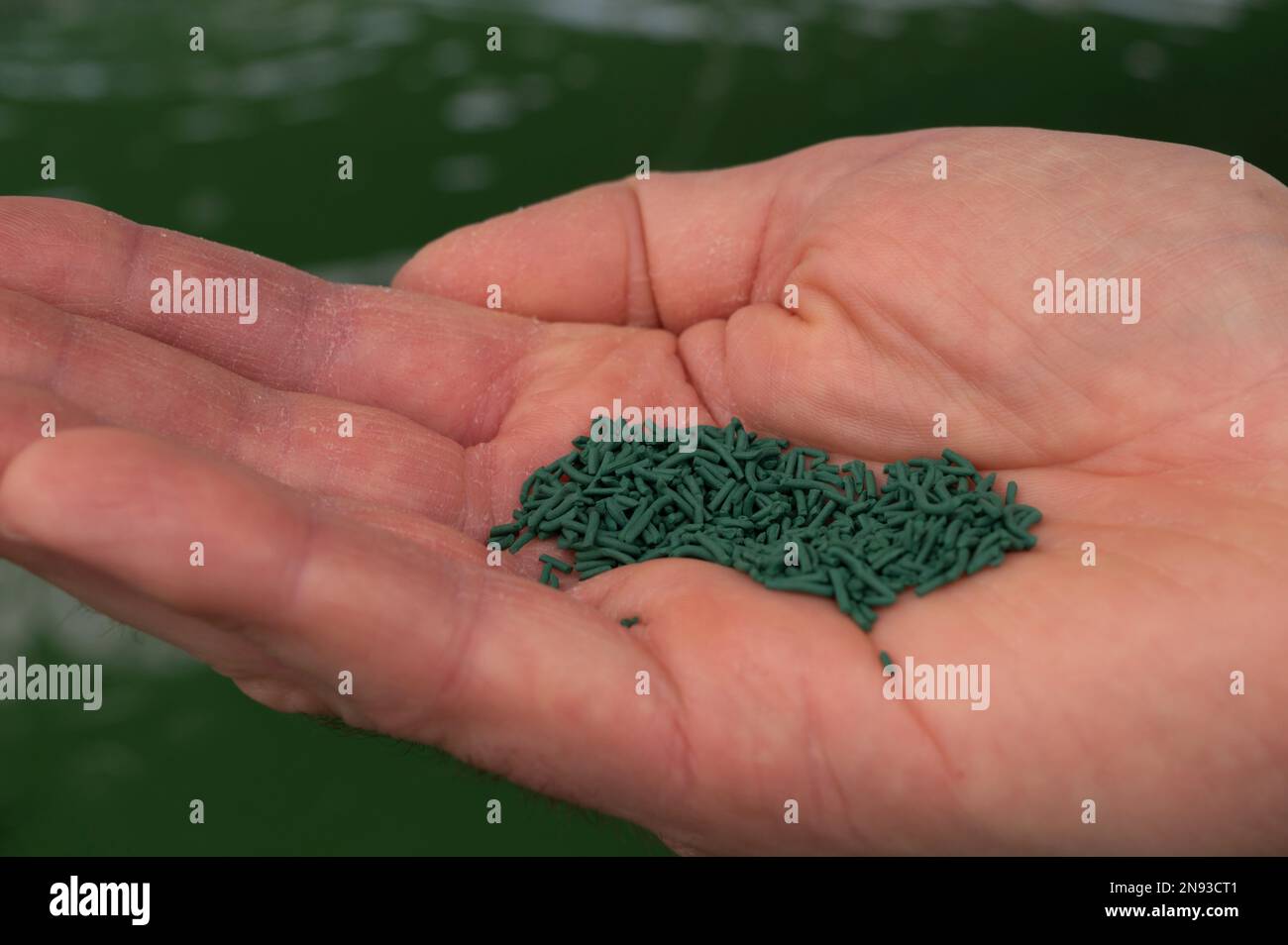 Spirulina cultivation hi-res stock photography and images - Alamy