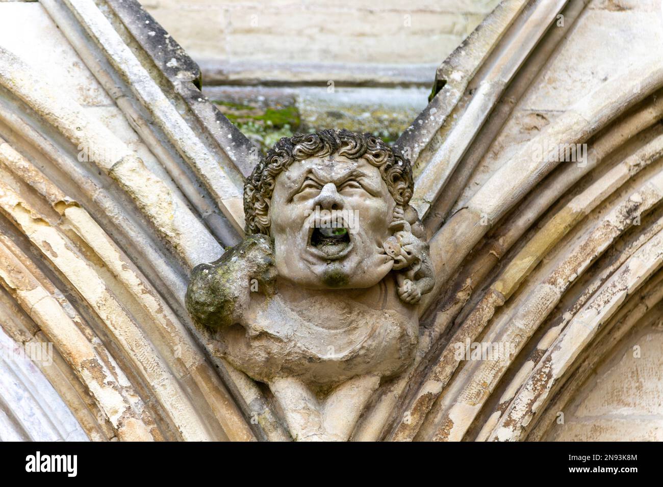 Gargoyle face in stonework of west end of Salisbury cathedral church ...