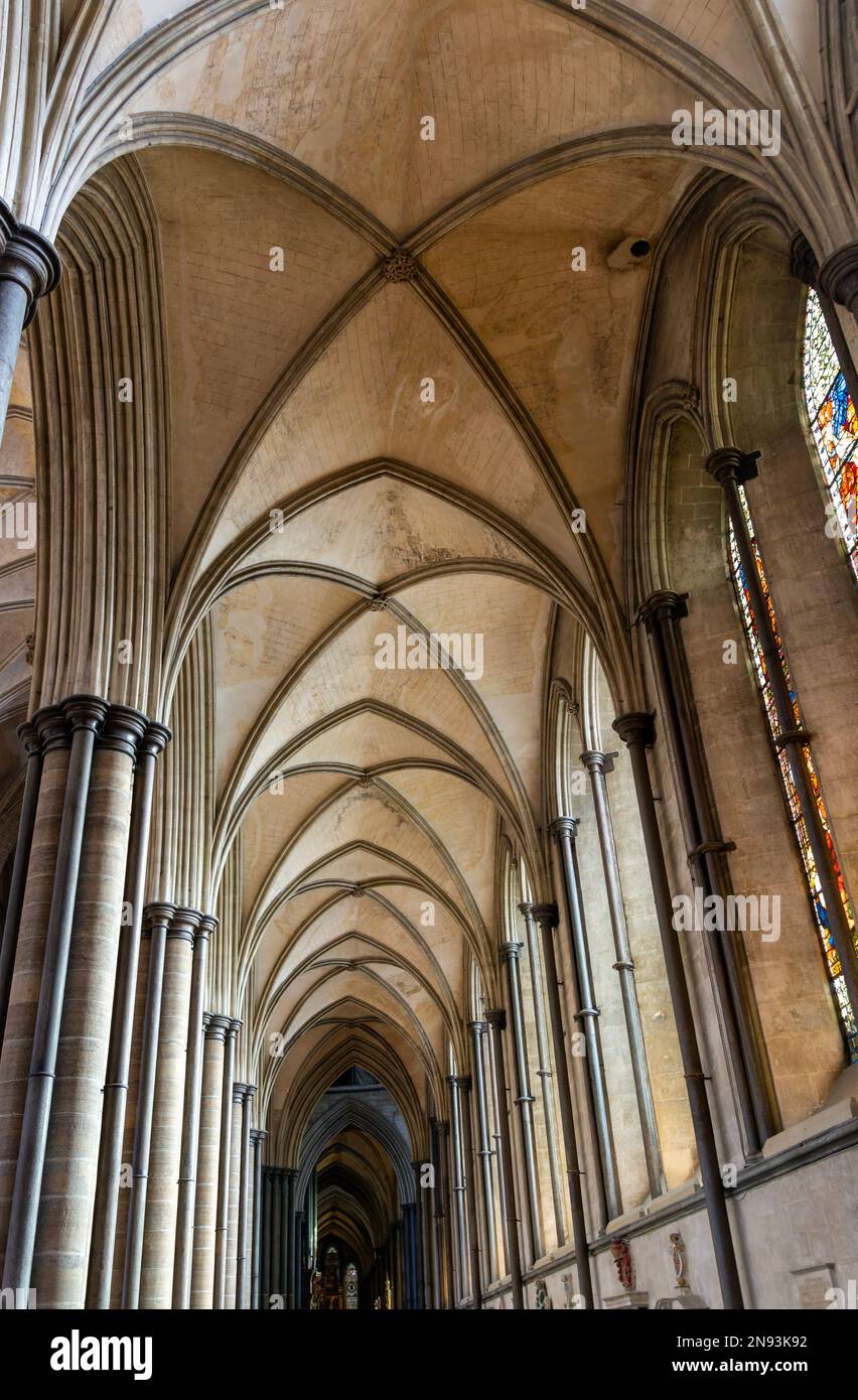 Vaulted ceiling roof inside cathedral church, Salisbury, Wiltshire ...