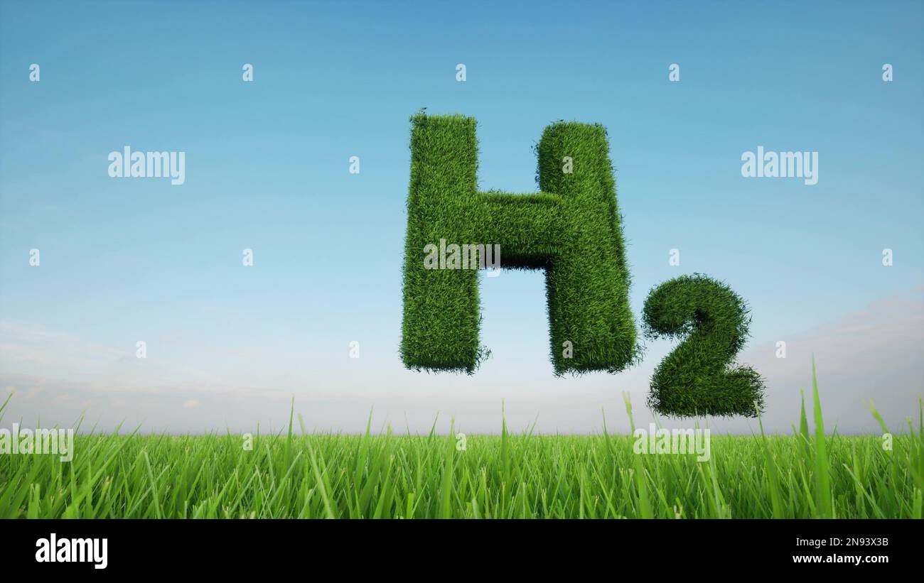 Hydrogen sign made from green grass on a field background 3d render ...