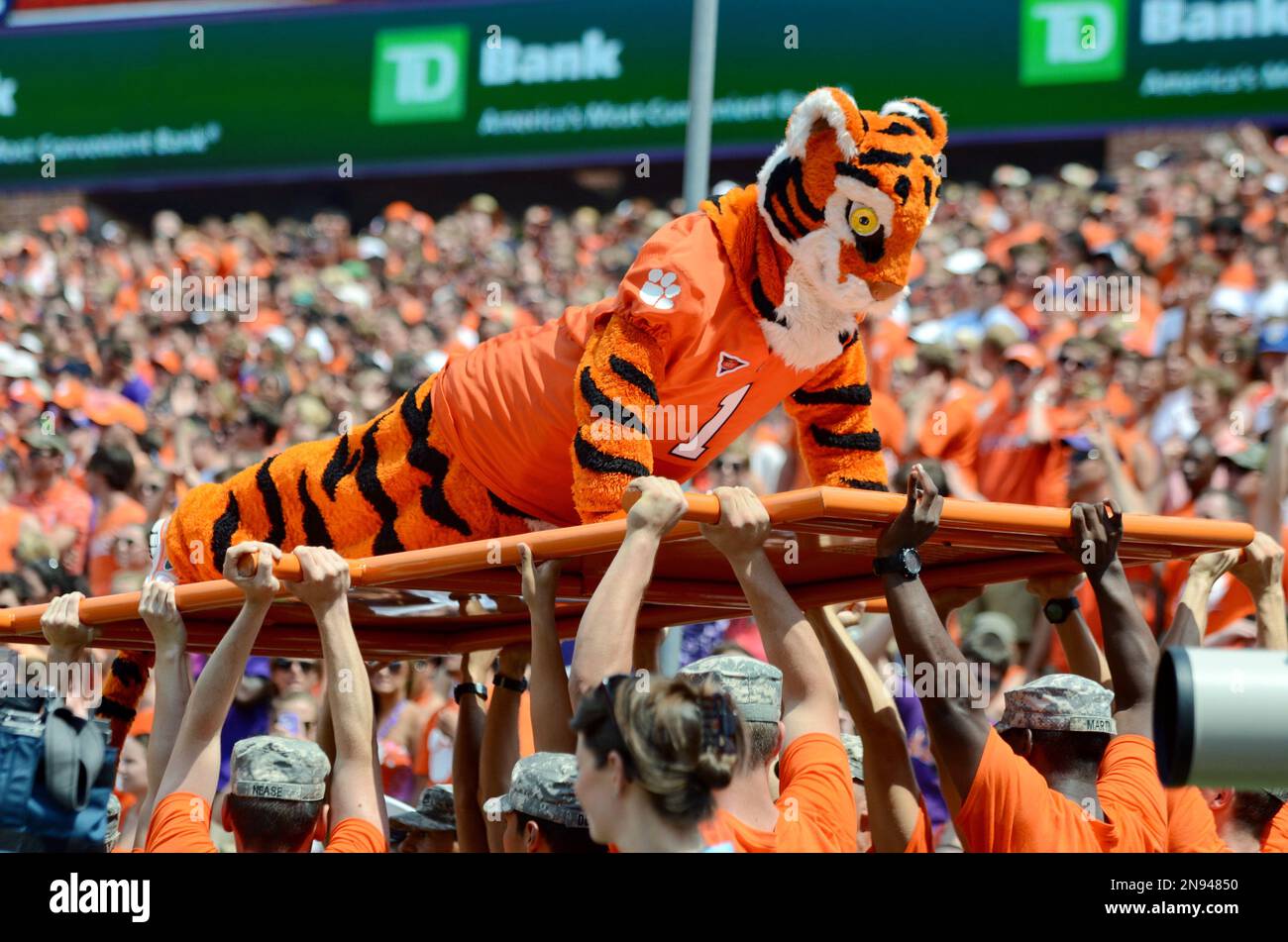Clemson's mascot, the Tiger, does pushups after Clemson scored a ...