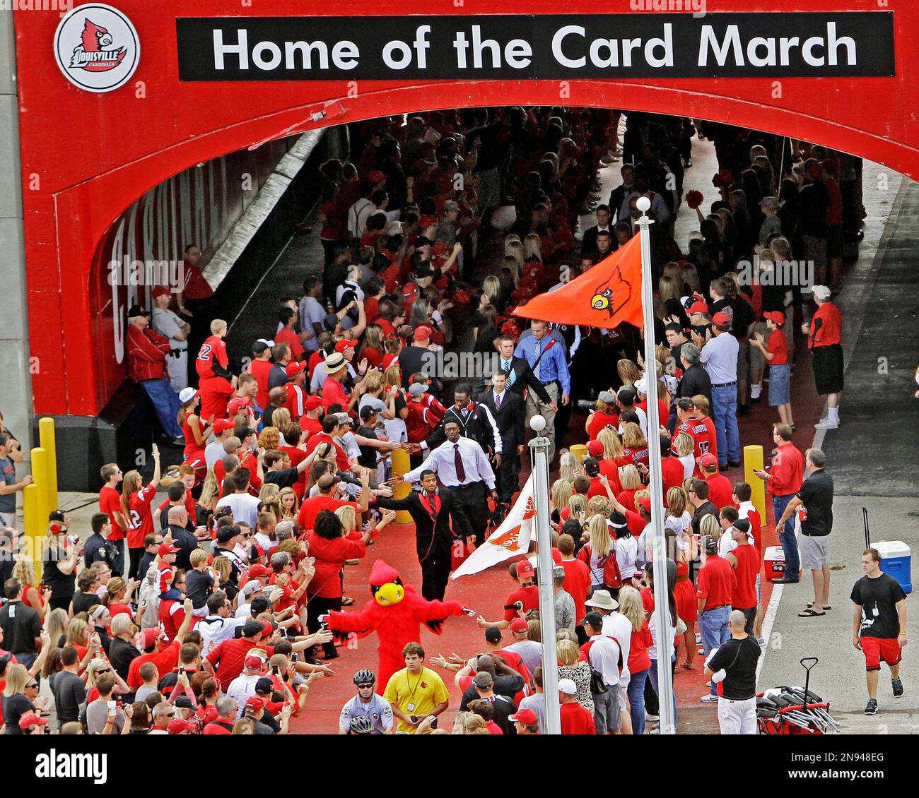 The Louisville Cardinal Bird mascot leads the football team in the pre ...