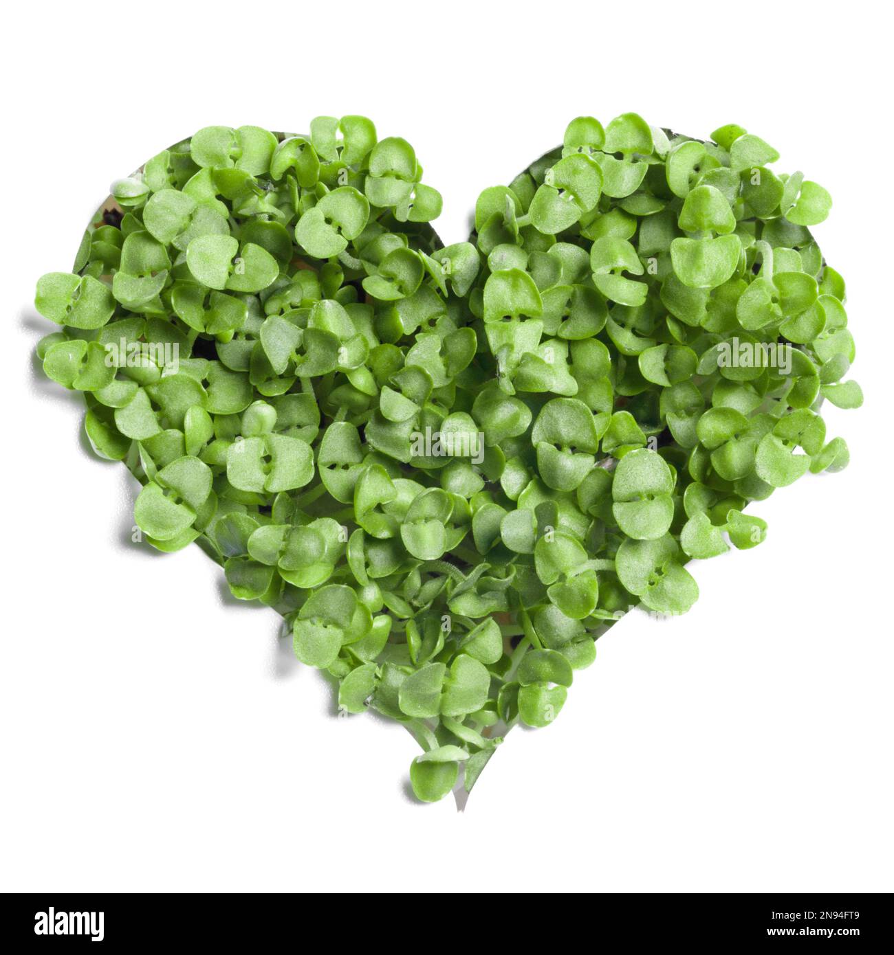 Sprout green plants growing a heart shape isolated on white background ...