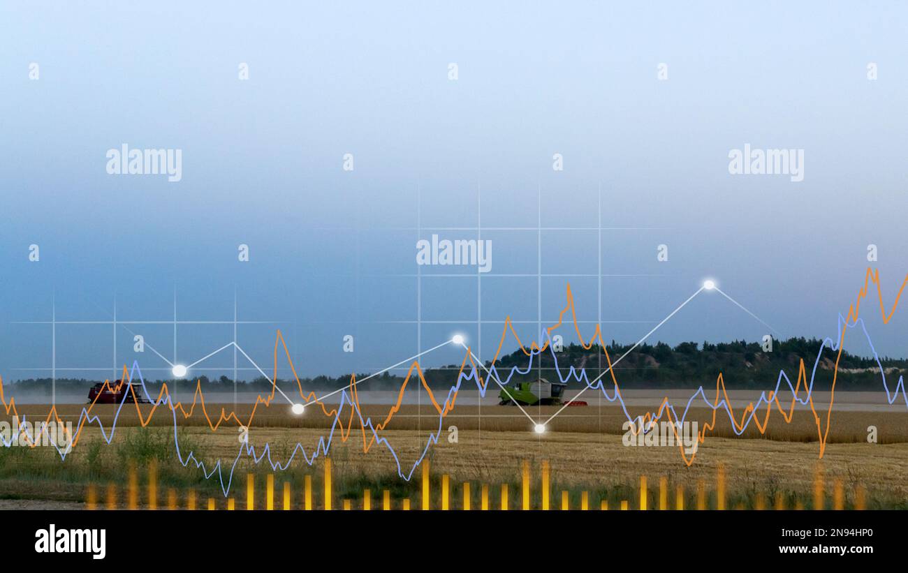 Harvester machine works in the field. Wheat growth chart, wheat ...