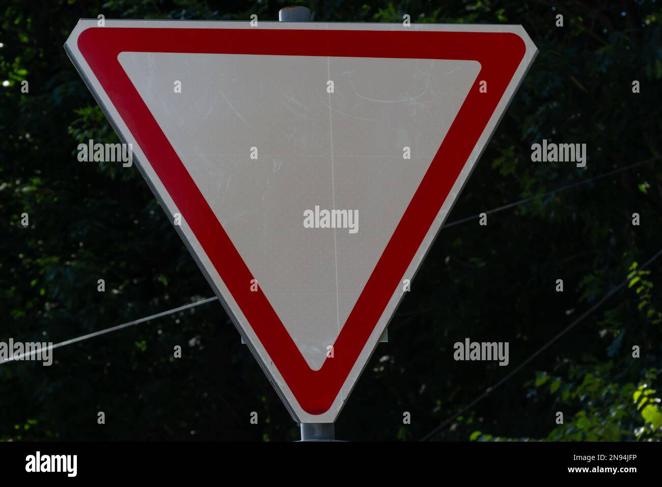 Yield road sign with tree in the background Stock Photo - Alamy