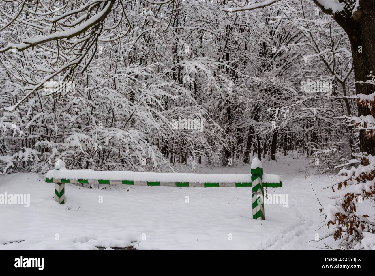Green and white barrier preventing passage into the forest. Covered ...