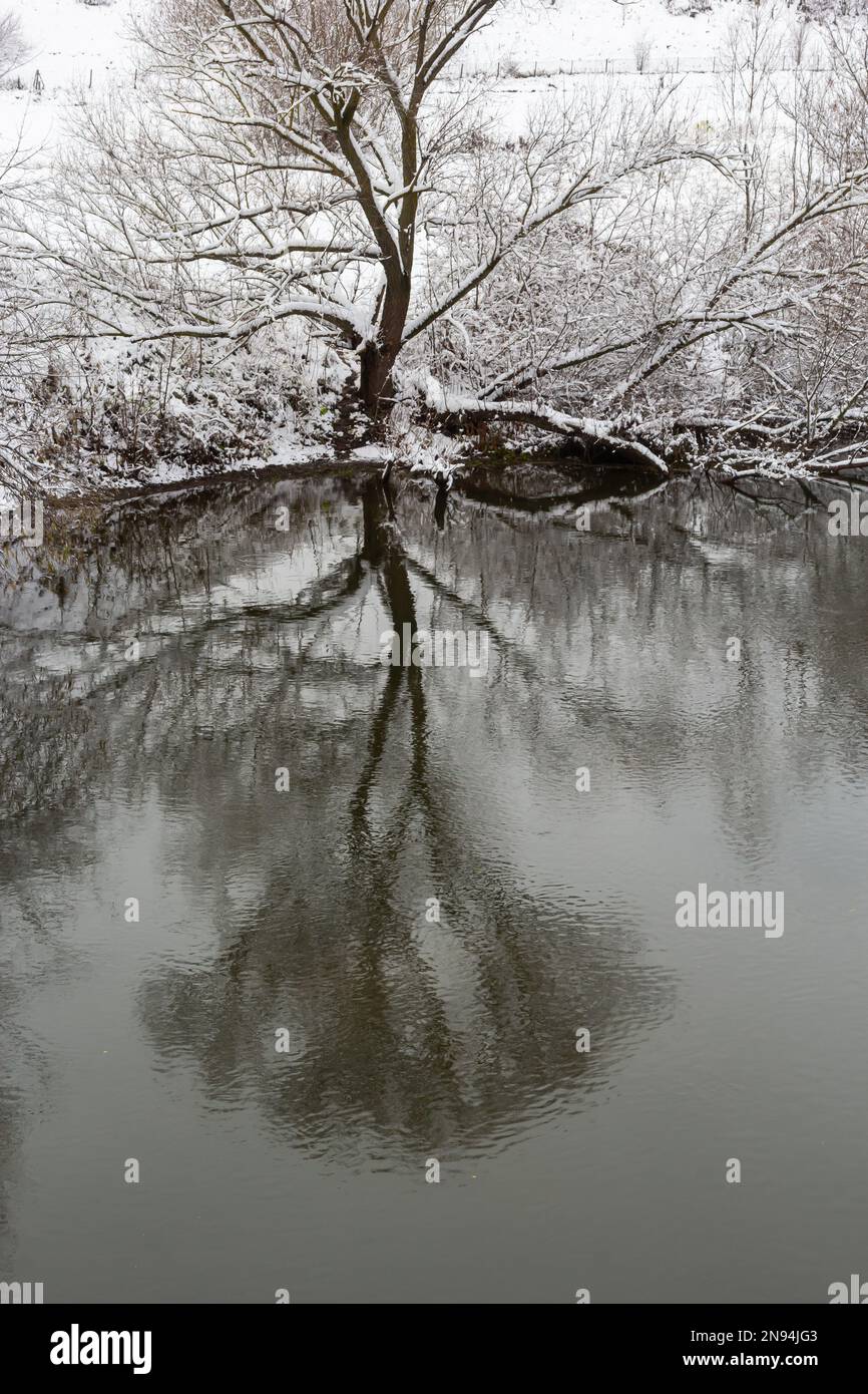 Frost landscape tree trees blue sky landscape snow river water hi-res ...
