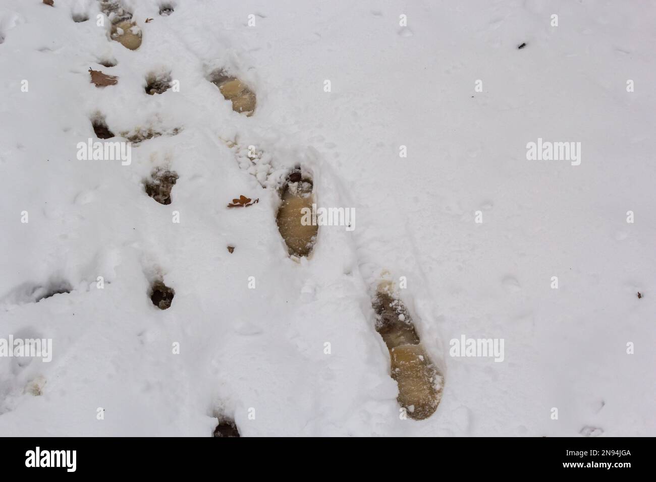 Human footprint snow hi-res stock photography and images - Alamy