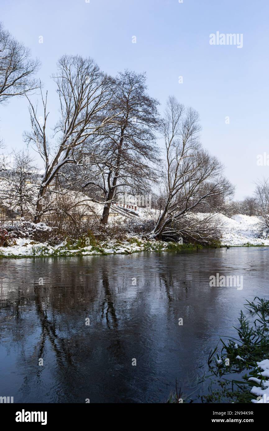 The river flows through the forest. In late fall in the forest the ...